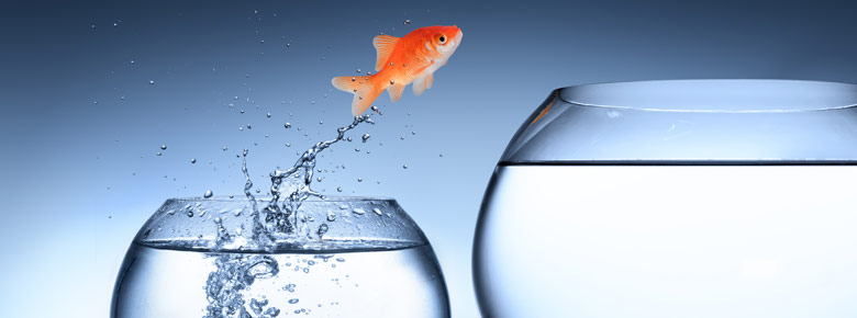 Blackburn Lazer - Welcome to Blackburn Lazer